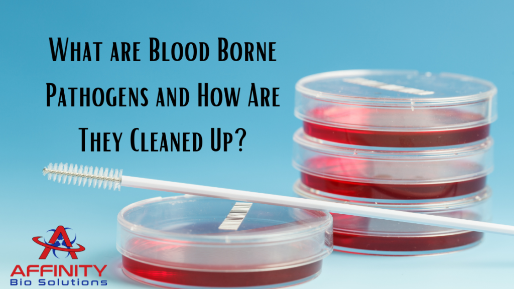 What are Blood Borne Pathogens and How They Are Cleaned Up