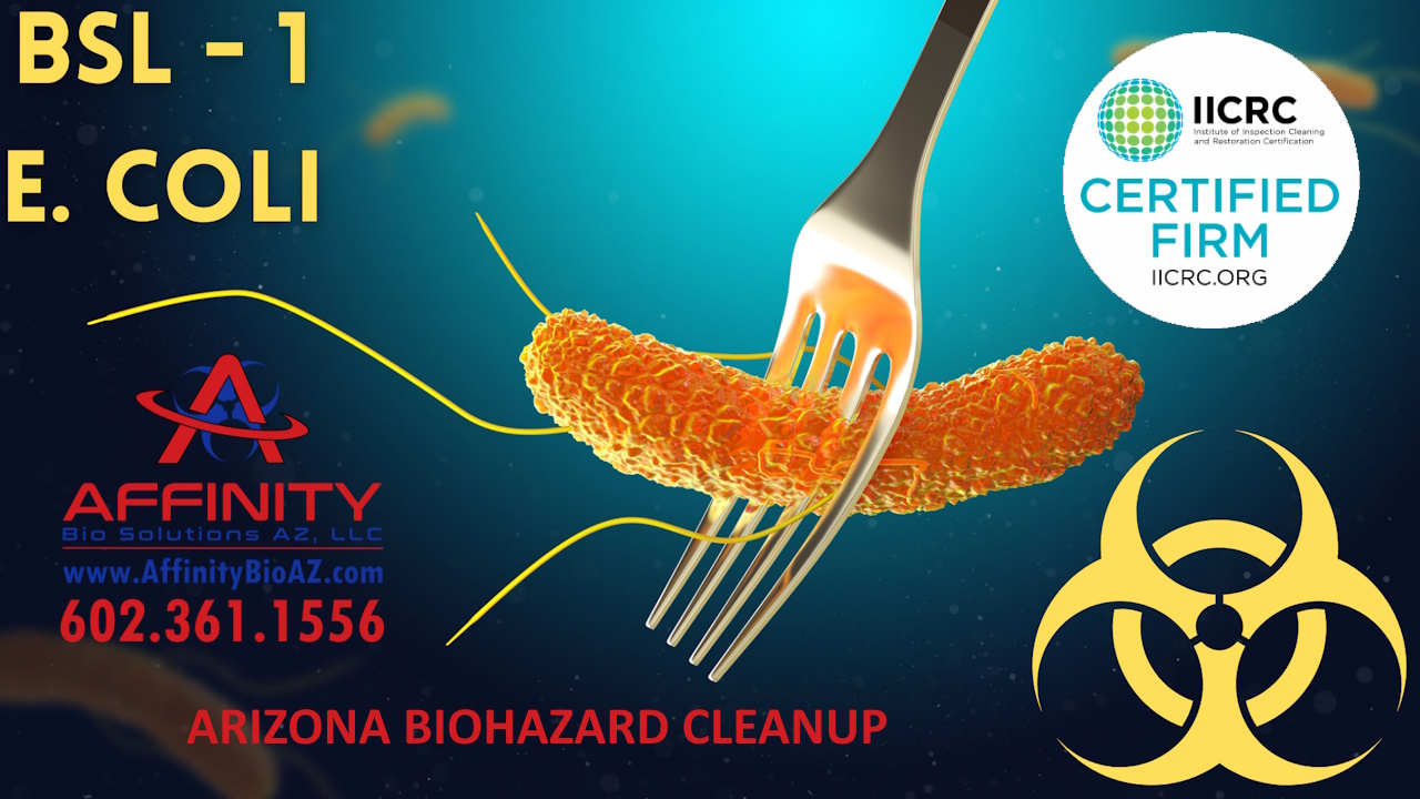Biohazard Cleanup Services | Affinity Bio Solutions